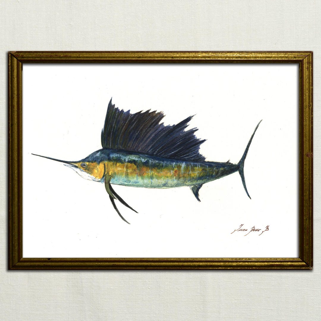Print-sailfish - Billfish Fish Swordfish Marlin Print Watercolor ...
