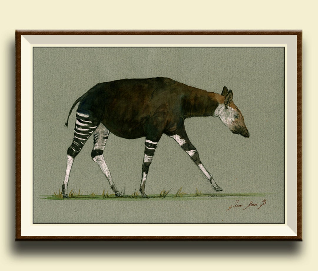 Print-okapi Animal-african Wild Opaki Gifaffe Family africa Safari ...