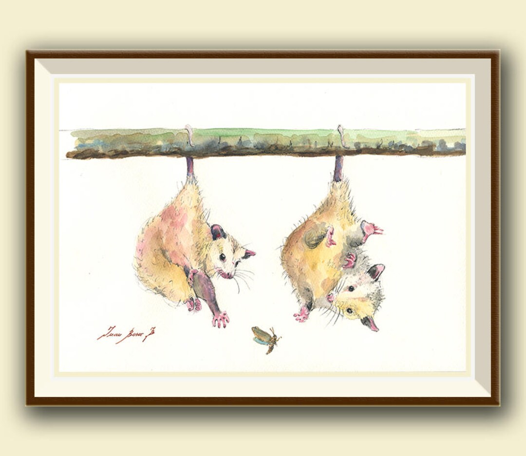 PRINT- Opossum Cubs - Opossum Babies Print - Possum Art - Marsupial ...