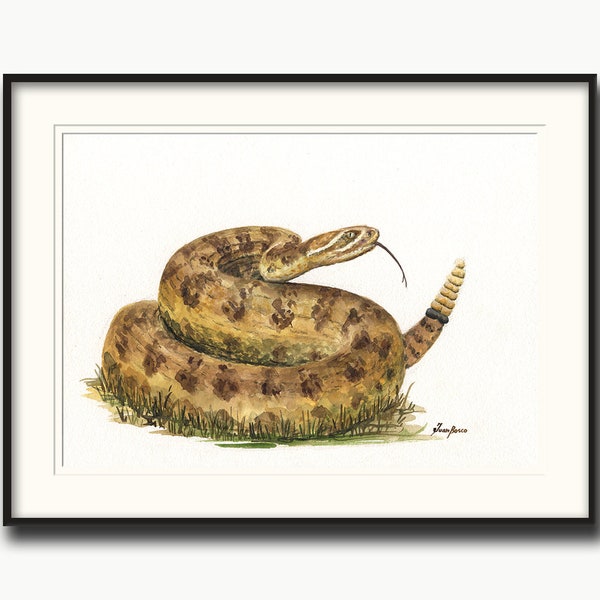 Rattlesnake Art - Etsy