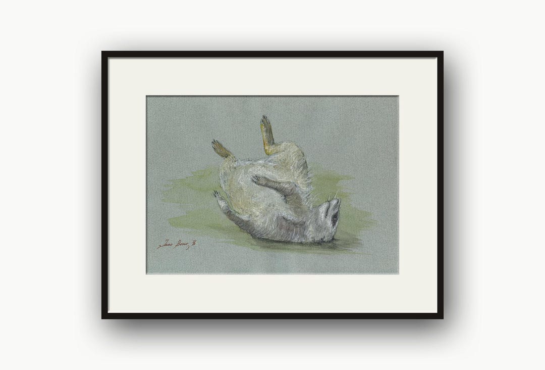 Playing Meerkat Watercolor on Paper Painting, Suricata Suricatta, Wild ...