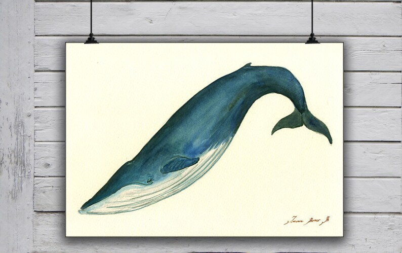 POSTER PRINT Blue Whale Whales Marine Mammal Nautical - Etsy Australia
