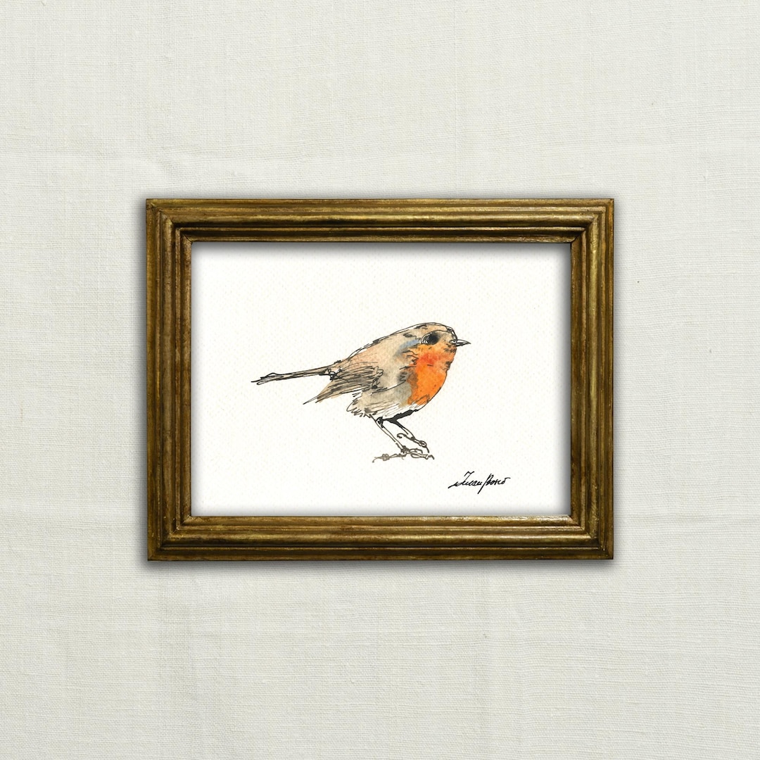 Original, NOT A PRINT- European Robin Bird Ink Art, Bird Watercolor ...