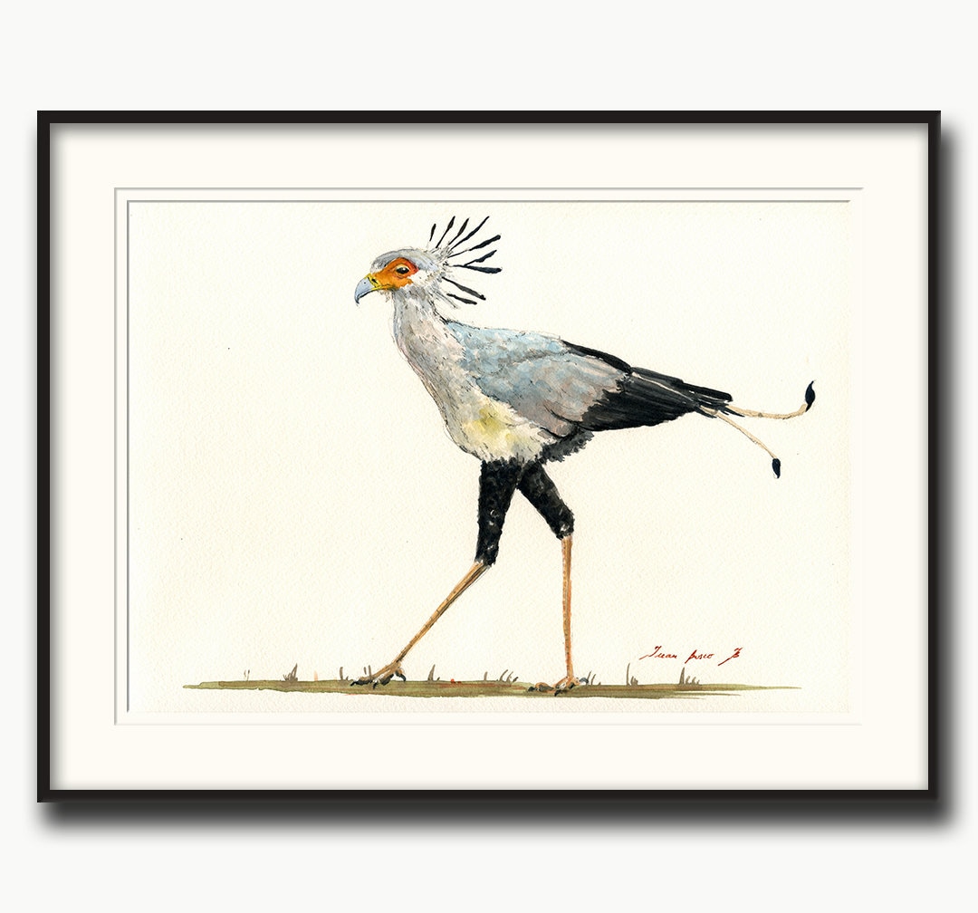 Secretarybird Painting Secretary Bird Art Bird Watercolor Art Wall ...