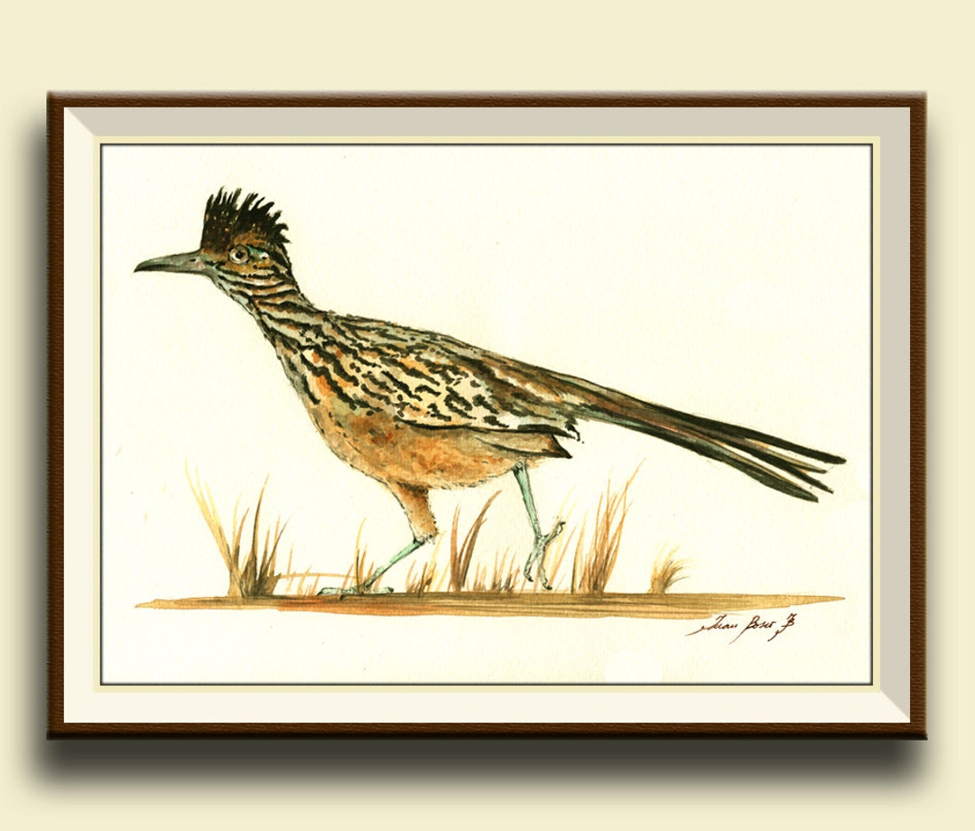 Print-greater Roadrunner Bird - Wildlife Animal Decor- Bird Animal Wall ...