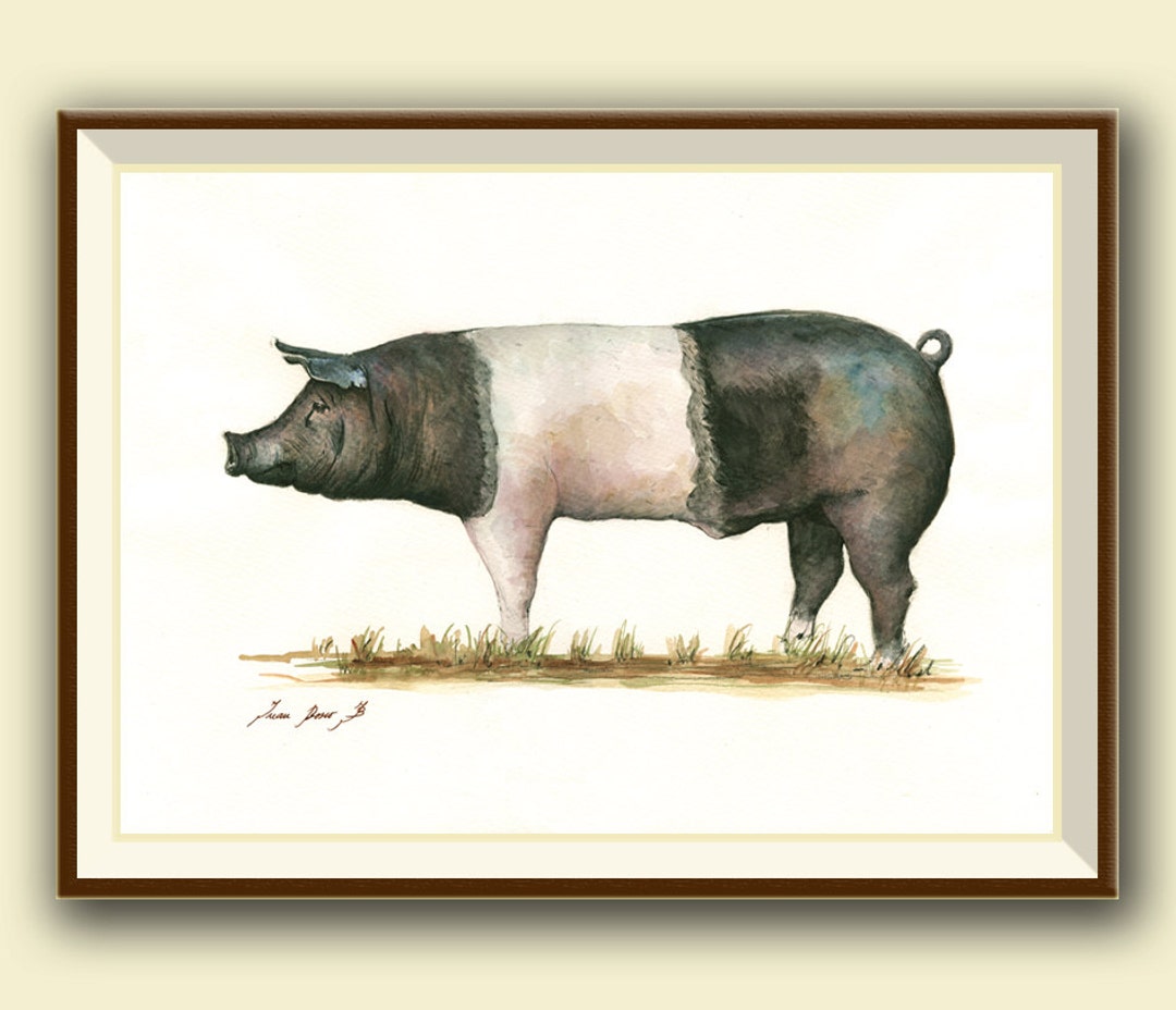 PRINT- Hampshire Pig - Swine Artwork - Pig Painting - Pig Print- Hog ...