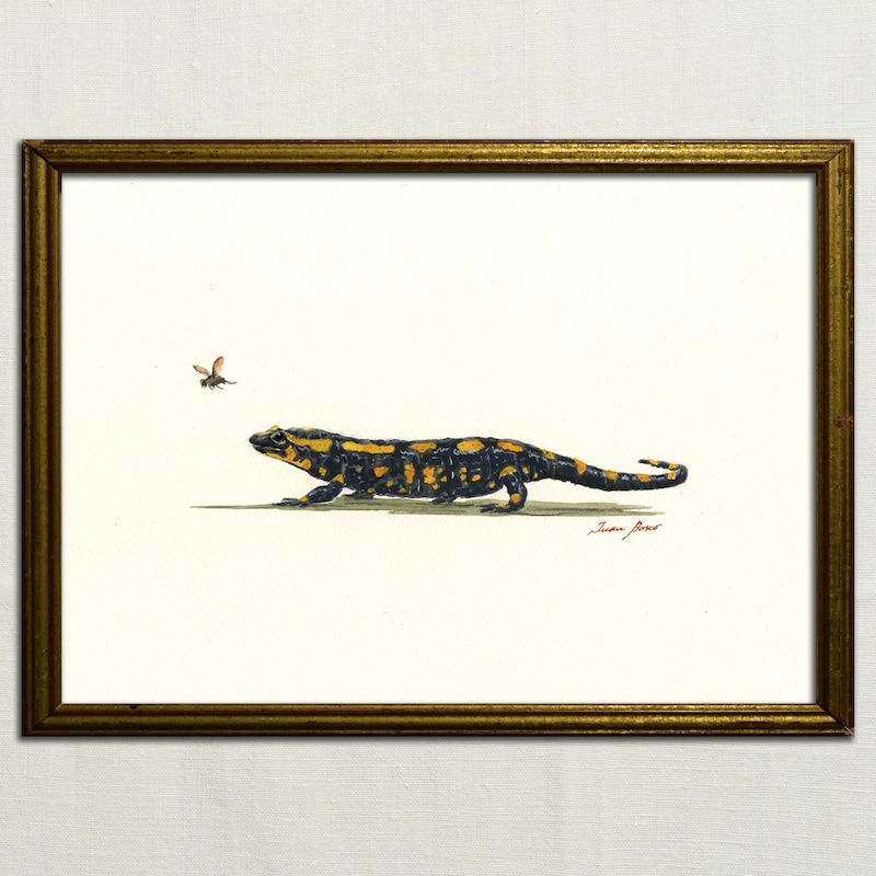 Salamander bunt - Etsy.de