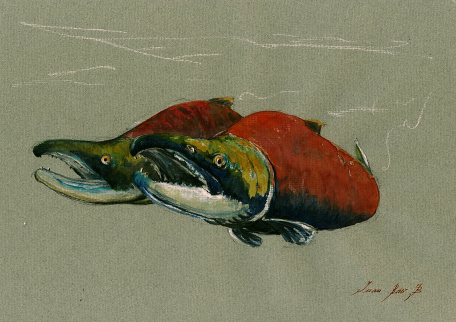 Print-sockeye Salmon Fish Art Wall Painting Watercolor | Etsy