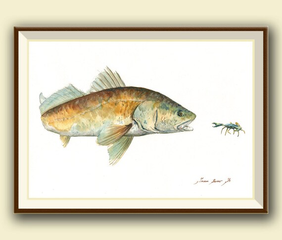 Saltwater Game Fish Art