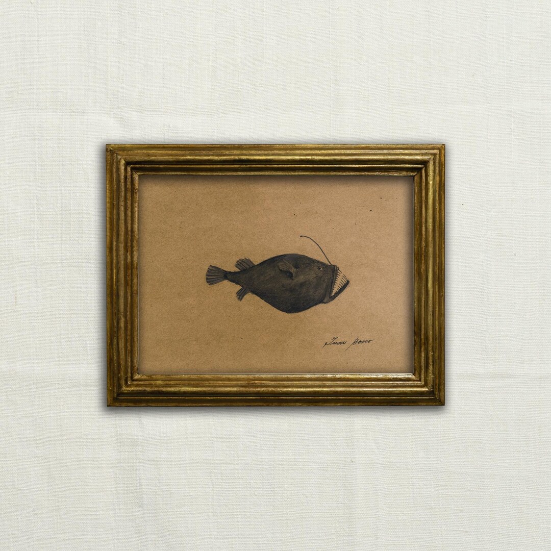 Original, NOT A PRINT - Monkfish Art, Monkfish Charcoal Sketch, Minimal ...