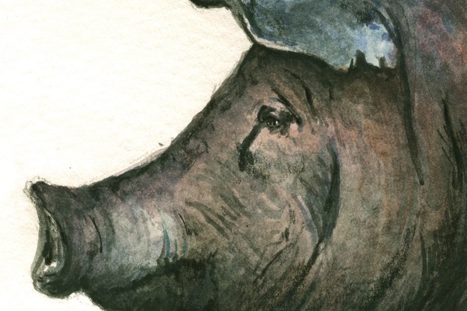 PRINT- Hampshire Pig - Swine Artwork - Pig Painting - Pig Print- Hog ...