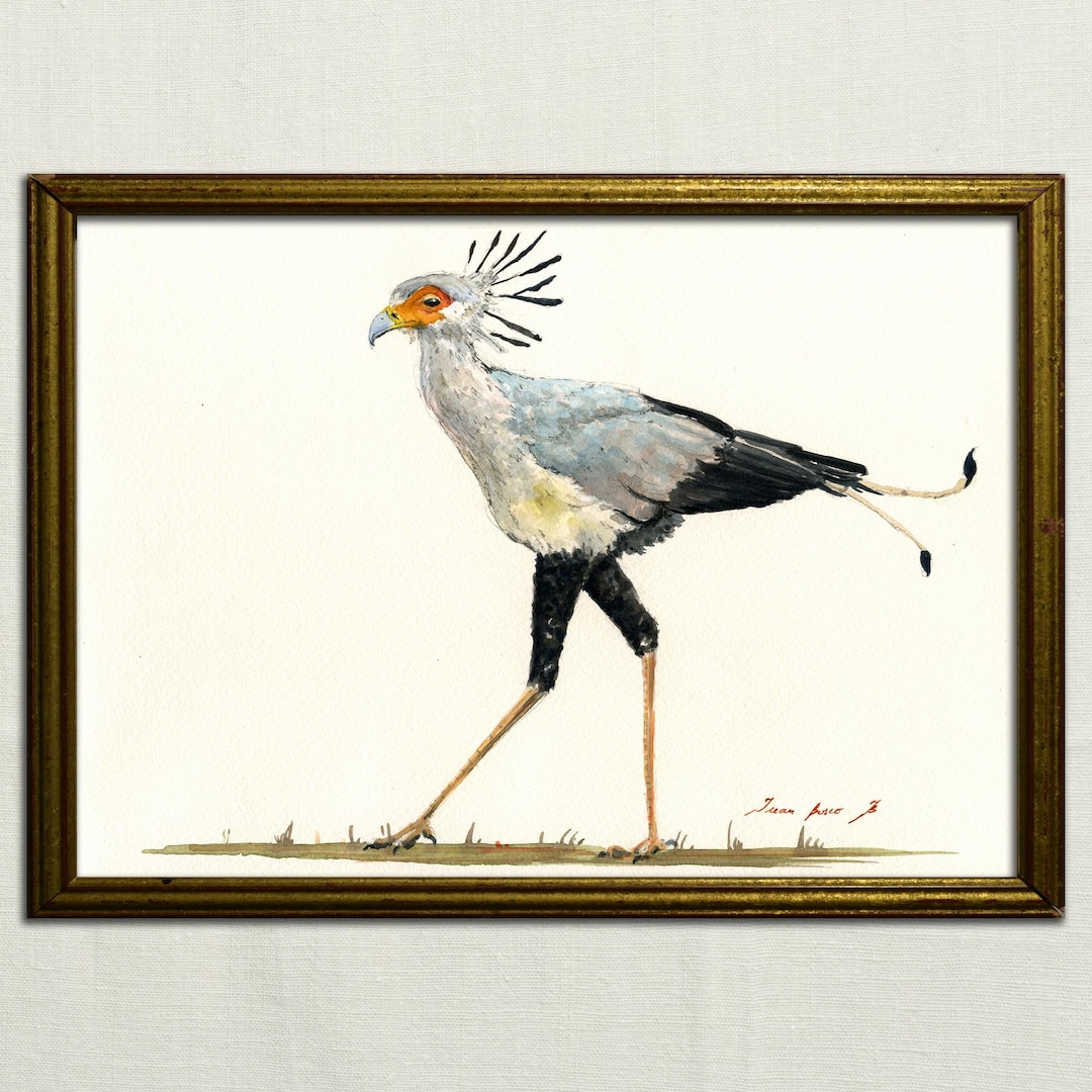 PRINT -secretarybird Painting- Secretary Bird Art - Bird Watercolor Art ...