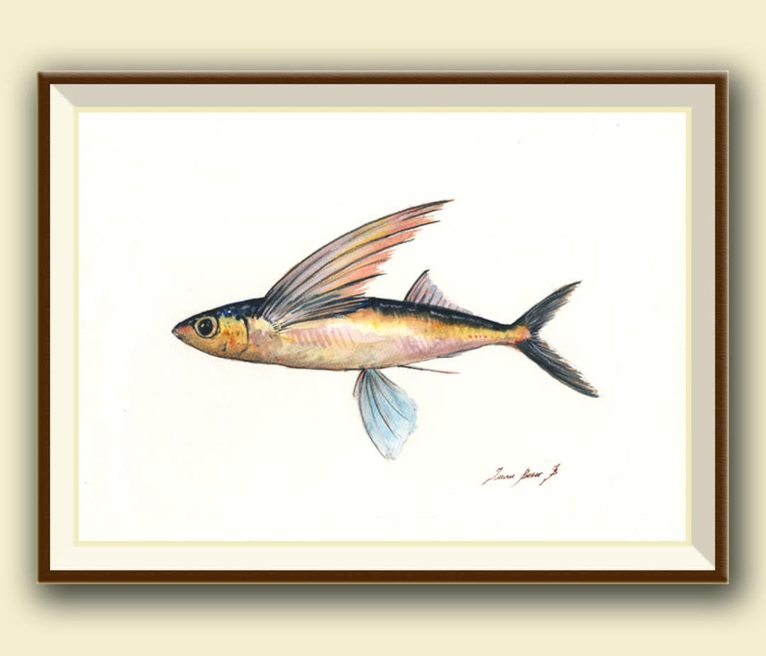 PRINT- Flying Fish- Fish Painting Art Print - Exocoetidae Fish Art ...