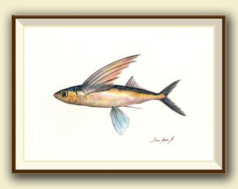 Flying Fish Print - Etsy