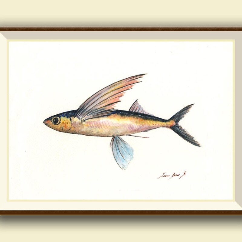 Flying Fish Print - Etsy