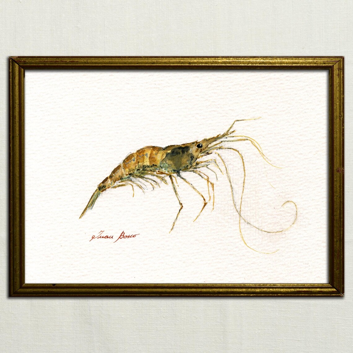 PRINT -prawn Painting, Shrimp Seafood Watercolor Art, Prawn Print ...