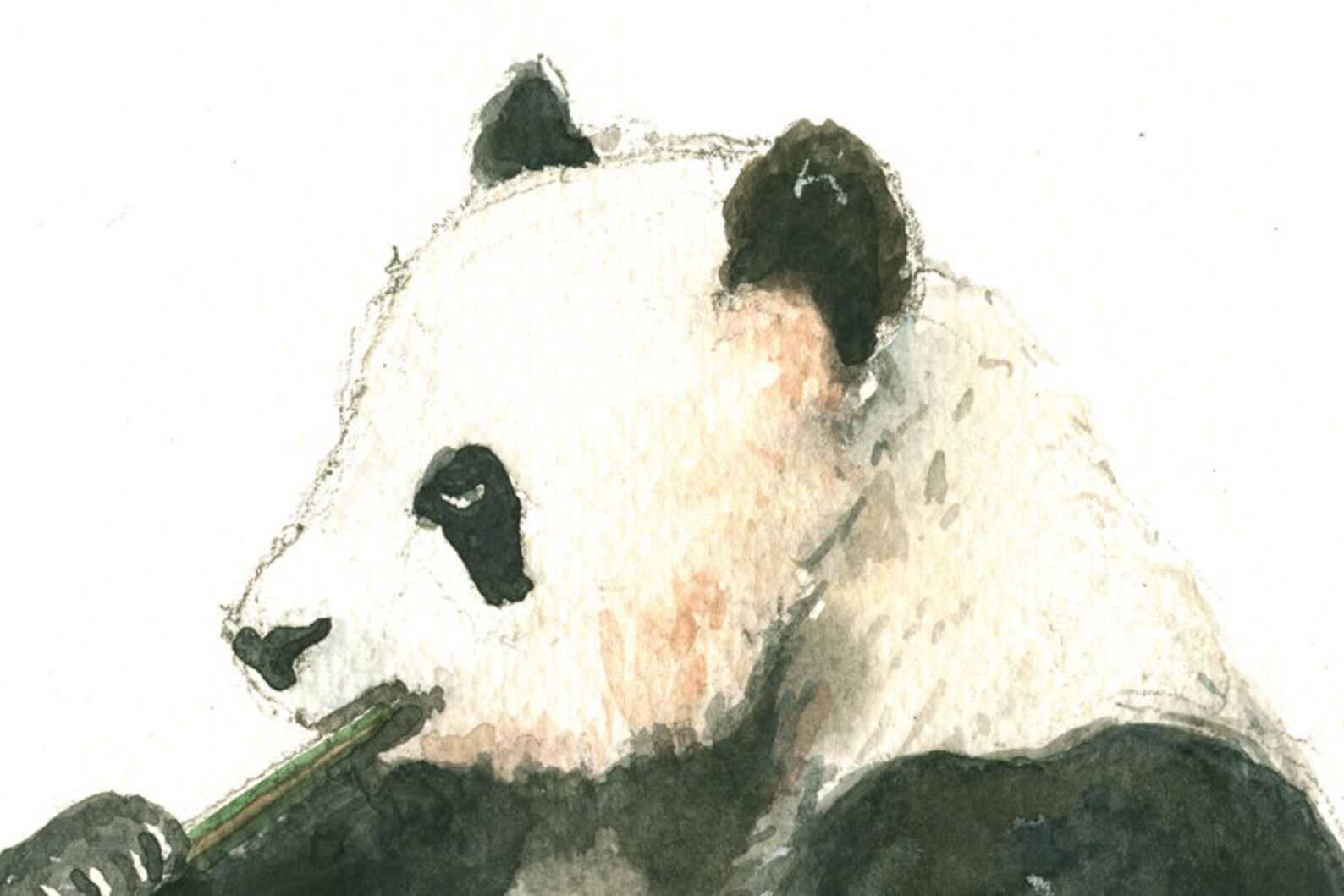 Print-panda & Cub Animal Giant Pandas Eating Bamboo Painting - Etsy