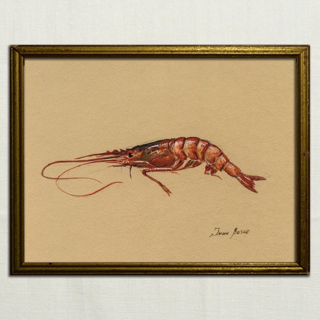PRINT -red Prawn Original Watercolor Painting, Shrimp Illustration ...