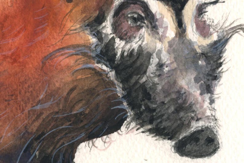 PRINT Red River Hog Artwork Pig Painting Pig Art Pig - Etsy
