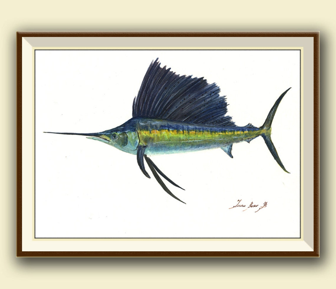 Print-sailfish Billfish Fish Swordfish Marlin Print | Etsy