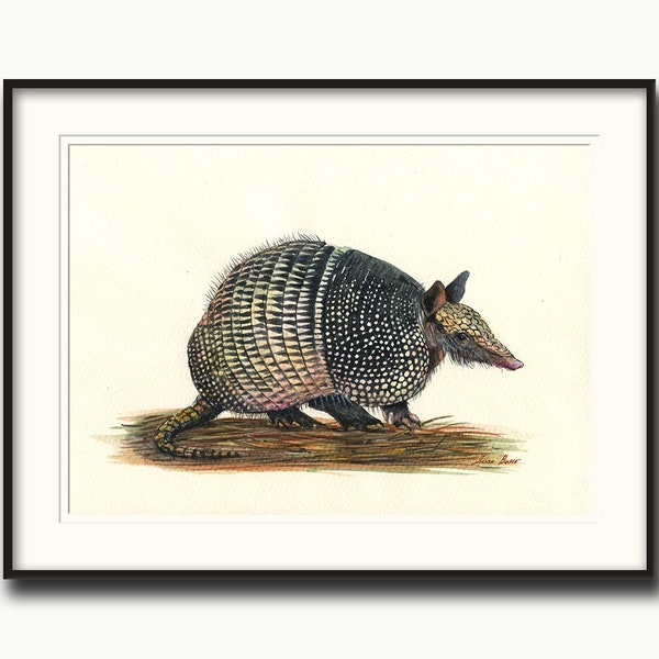 Armadillo Art - Etsy
