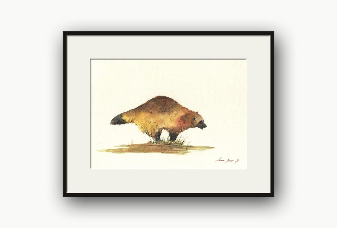 Wolverine Watercolor on Paper Painting, Gulo Gulo, Carcajou ...