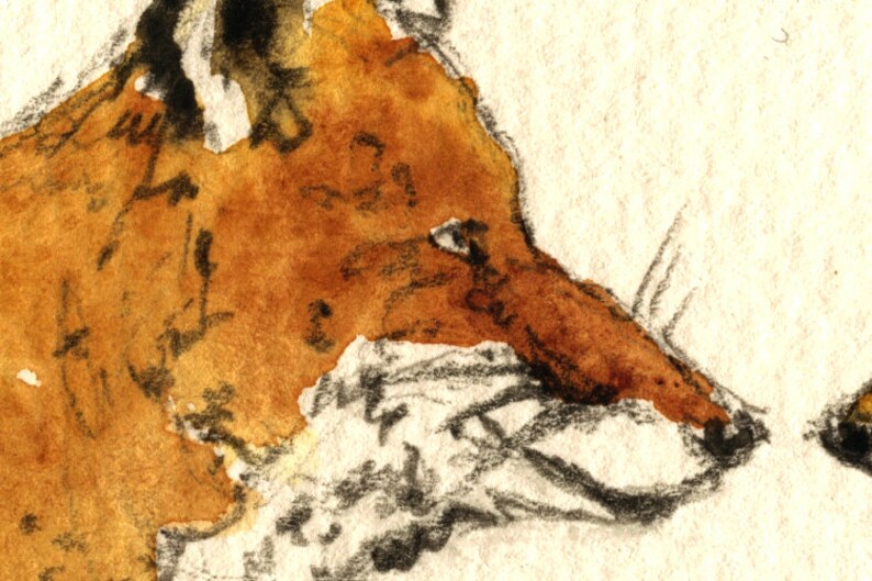 PRINT-Red fox print fox art fox love love foxes print | Etsy