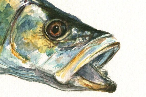Saltwater Game Fish Art