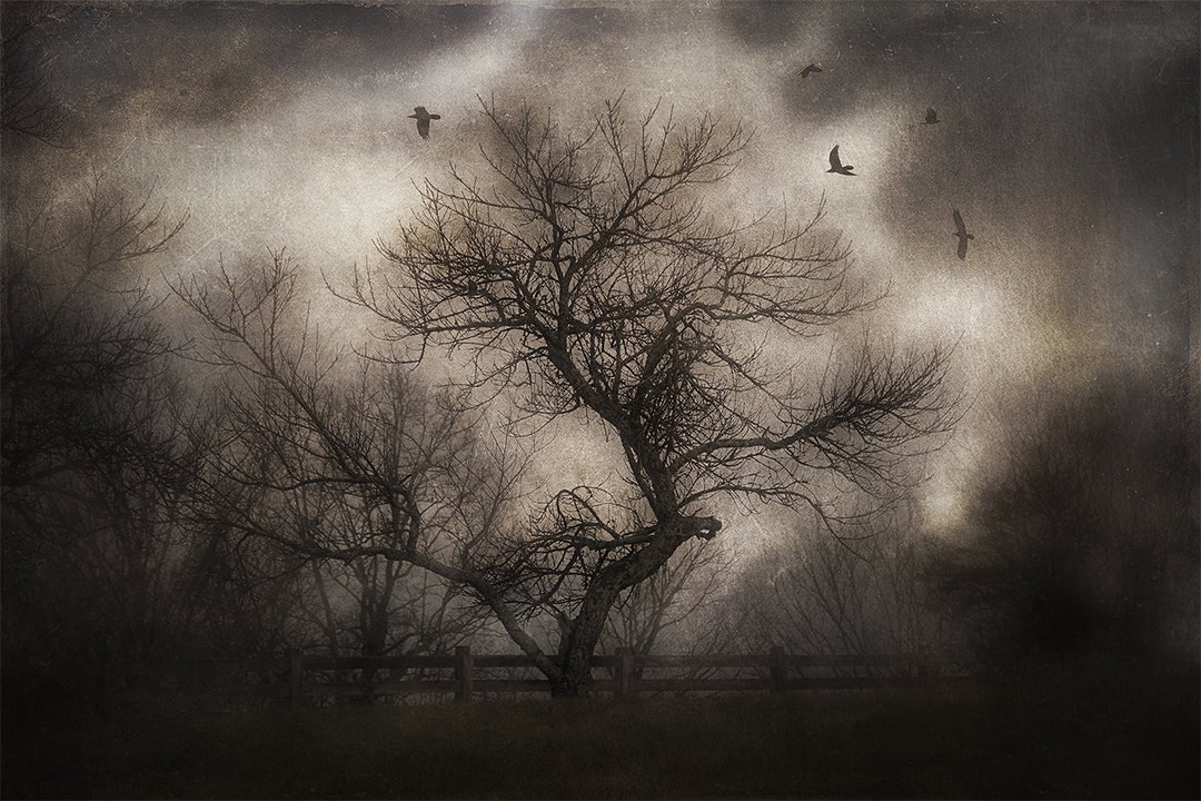 Svetlana's Tree-gothic Art Print, Moody Landscape Print, Sepia Art ...