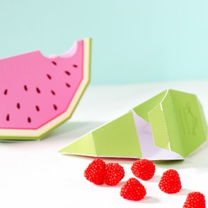 Watermelon Favor Box, Watermelon Party, One in a Melon Party, Pink ...