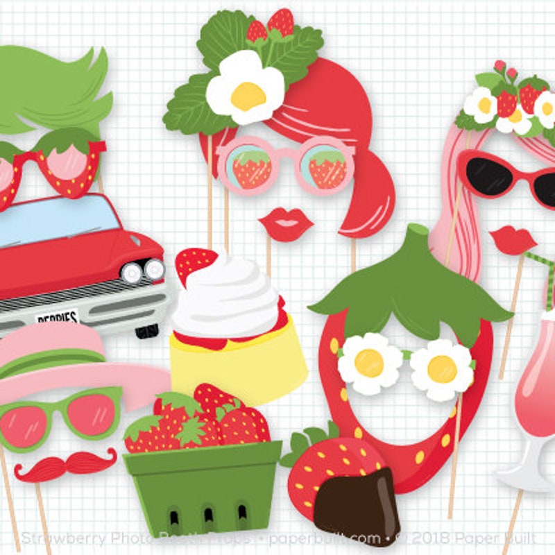 Berry Baby Shower Photo Props - Etsy