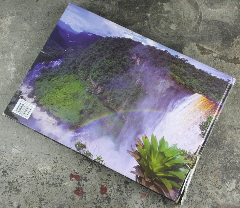 Rainforests A Panoramic Vision by Patrick Hook, Panoramic Photographs ...