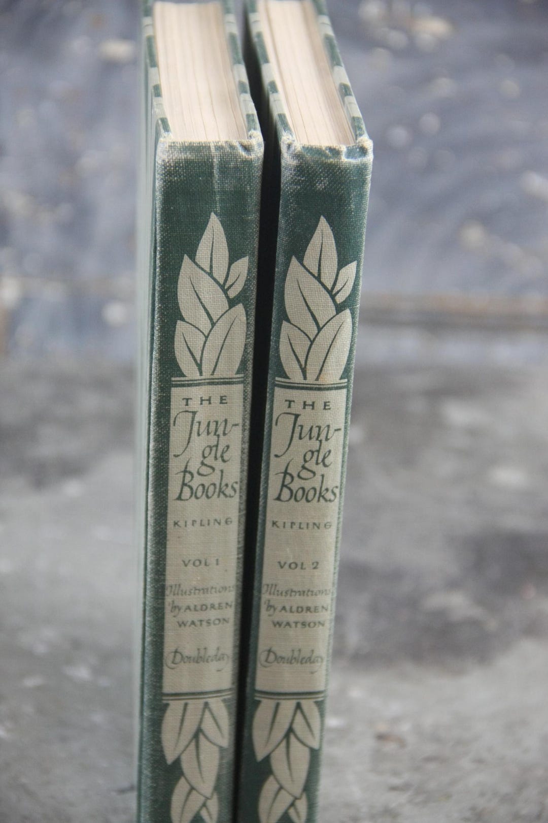 Jungle Books, Volumes 1 and II, Classic Children's Book, Copyright 1948 ...