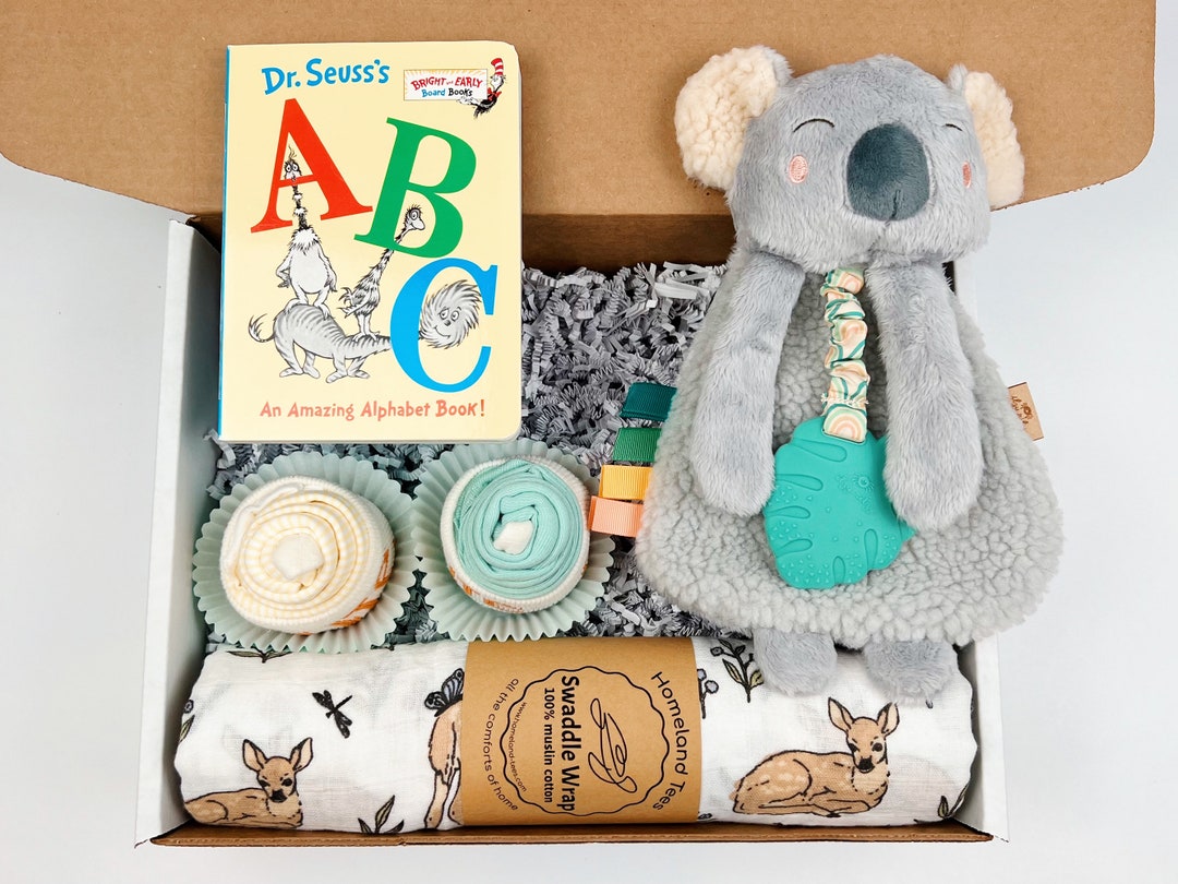 ABC Baby Book Gift Basket, Baby Shower Gift Basket, Dr. Seuss Book, New ...