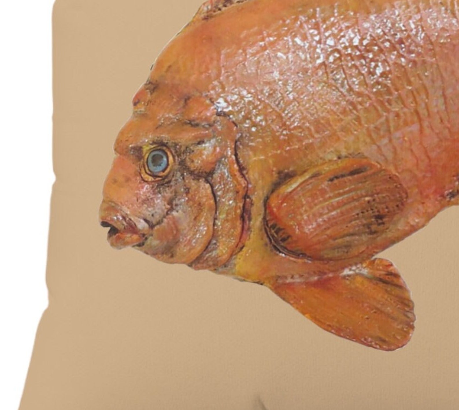 Garibaldi Fish Pillow, Square, Three Sizes, 2-sided, Couch, Bedroom ...