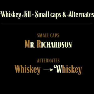 Whiskey Jill Font - OTF - Etsy