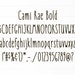 Cami Rae Font - Regular & Bold - Numbers - Lowercase - OTF and TTF - Etsy