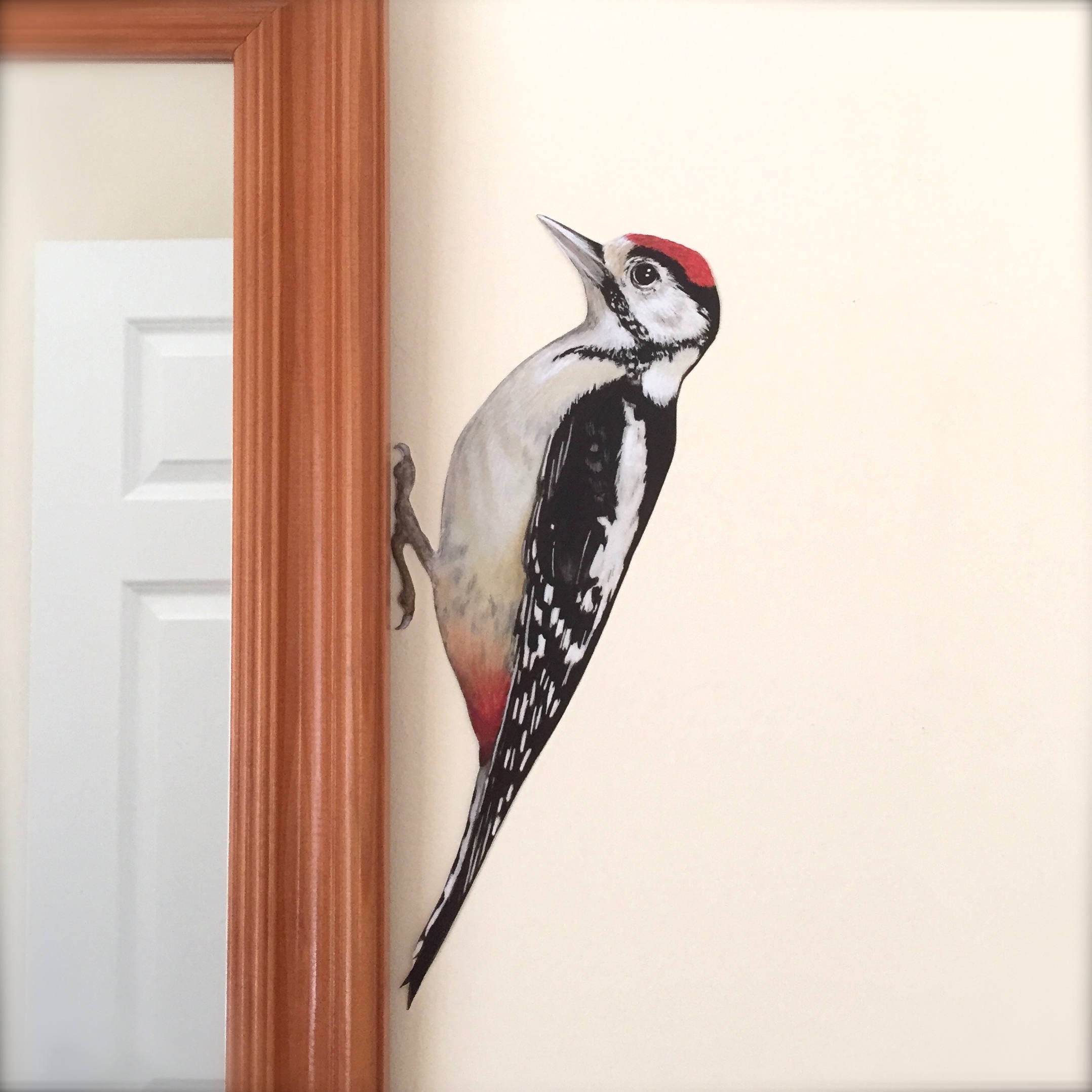 Woodpecker Wall Sticker Decal: Removable Re-positionable Hand Cut Vinyl ...