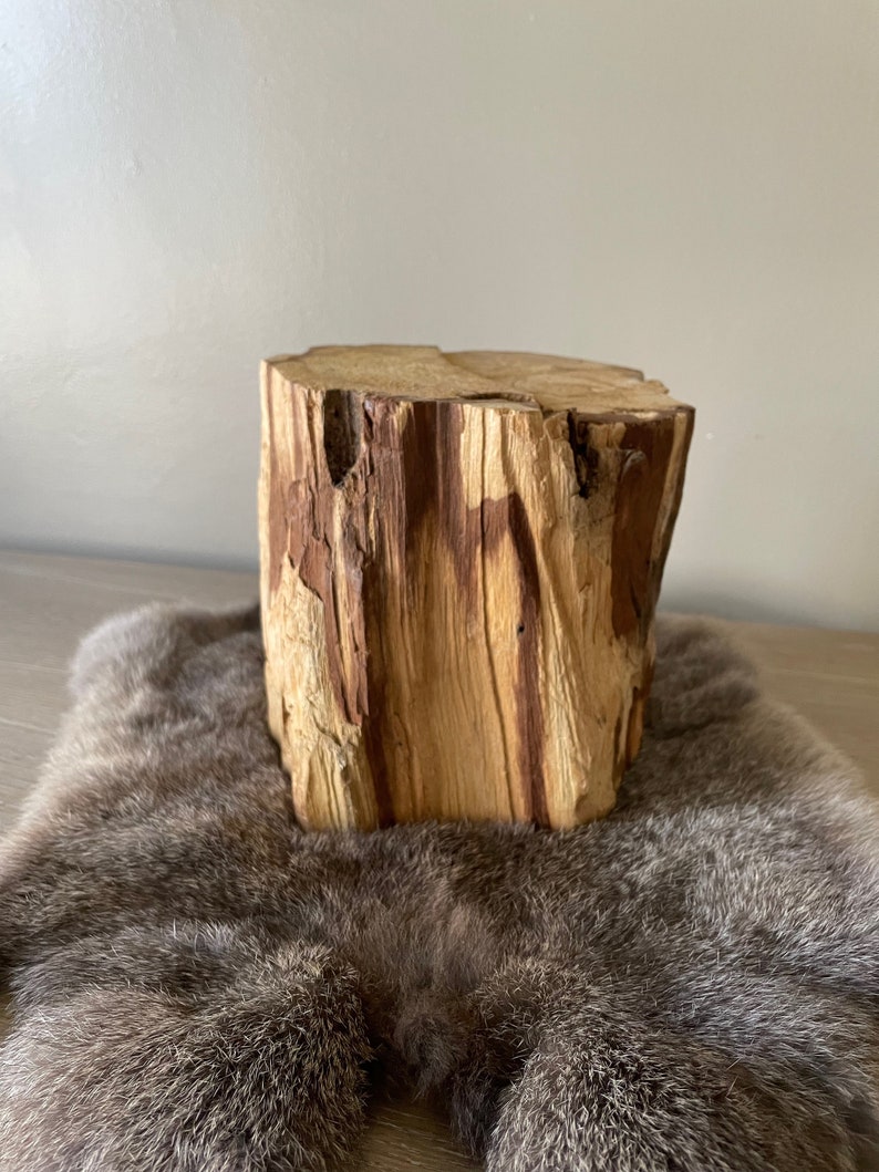 Palo Santo Log, Holy Wood, Extra Large Palo Santo, Purification Tool ...