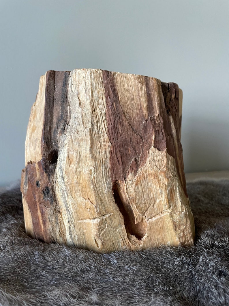 Palo Santo Log, Holy Wood, Extra Large Palo Santo, Purification Tool ...