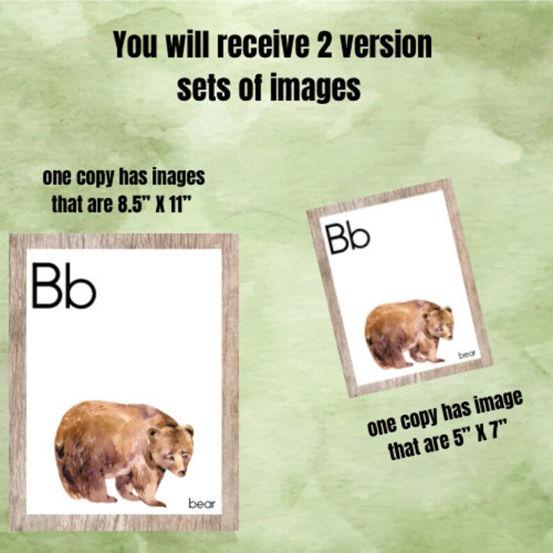 Alphabet Nature Posters - Phonetic A-Z Signs - Rustic Woodland Letters ...