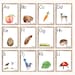 Digital Character Affirmations 40 Book Characters Childrens Storybook ...