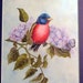 Spring Song Bird Painting, Original Oil Painting 11x14 - Etsy