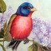 Spring Song Bird Painting, Original Oil Painting 11x14 - Etsy