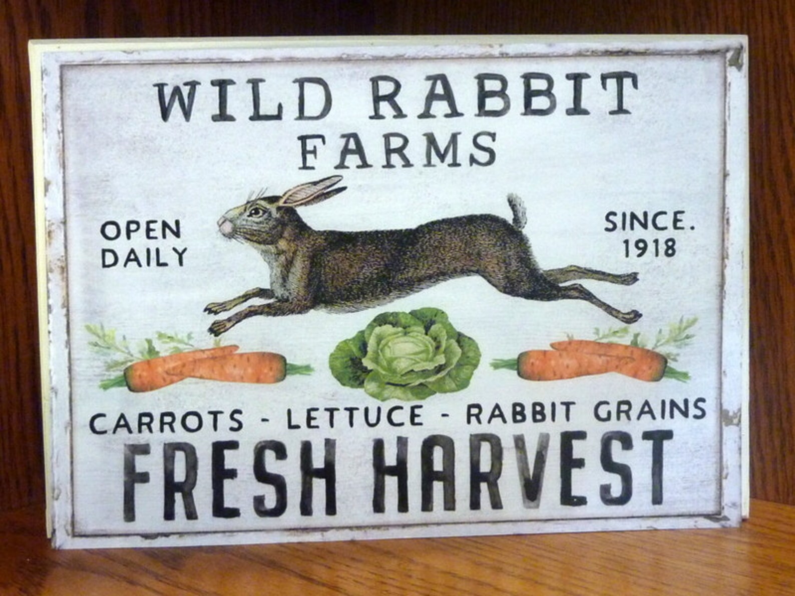 Wood Signs Rabbit Wall Art - Etsy