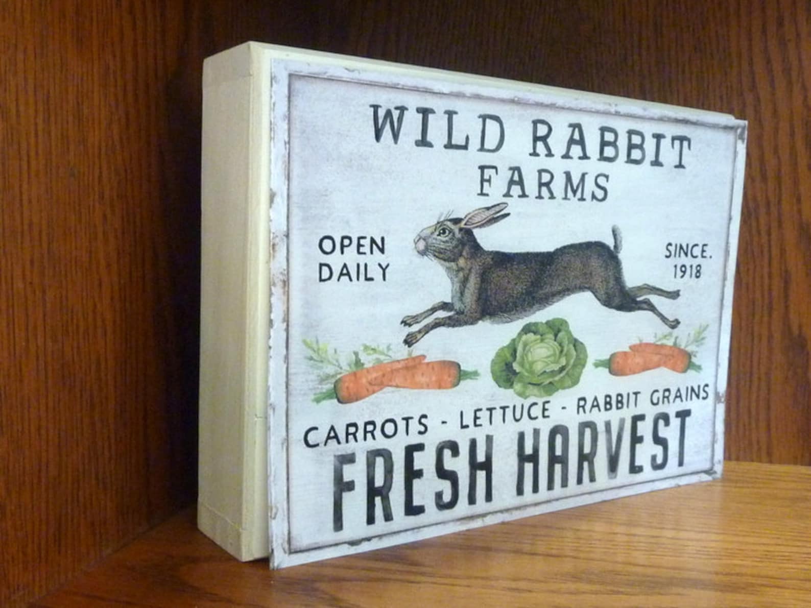 Wood Signs Rabbit Wall Art - Etsy