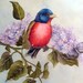 Spring Song Bird Painting, Original Oil Painting 11x14 - Etsy