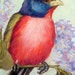 Spring Song Bird Painting, Original Oil Painting 11x14 - Etsy