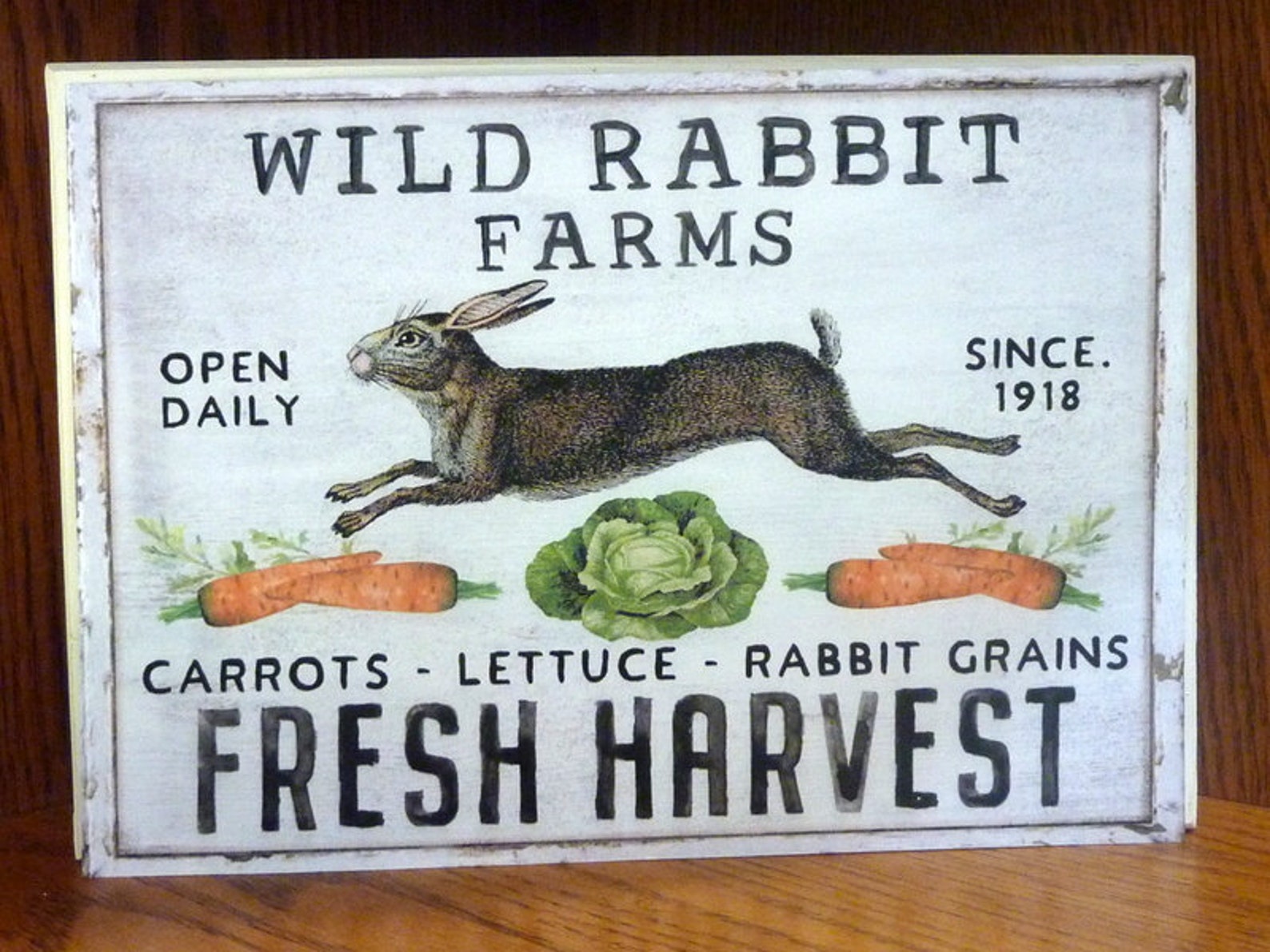 Wood Signs Rabbit Wall Art - Etsy