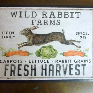 Wood Signs, Rabbit Wall Art - Etsy